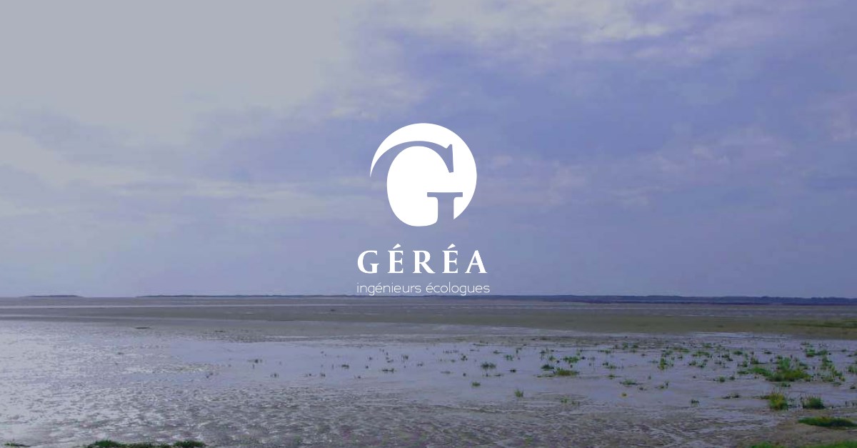 GÉRÉA Ingénieurs écologues: Cabinet environnemental de gironde